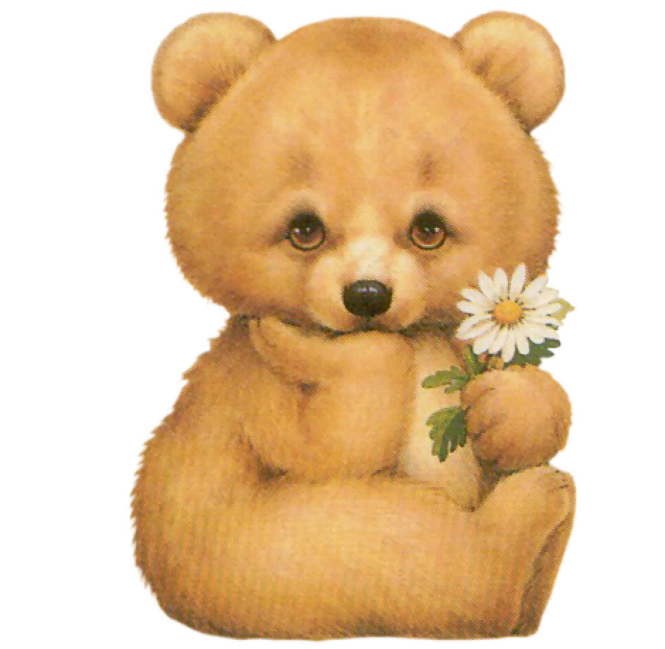 Cutest Bear